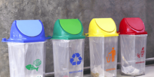 Come fare la Raccolta Differenziata: Guida Pratica